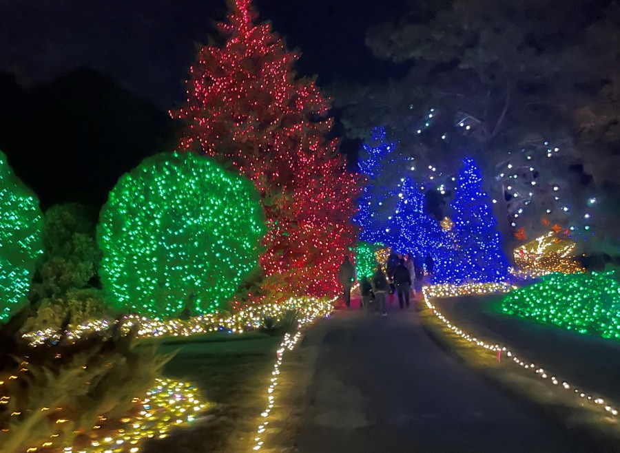Dominion Energy Garden of Lights returns to Norfolk Botanical Garden