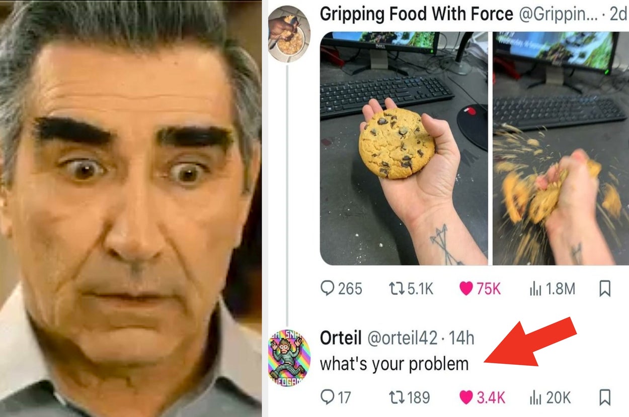 27 Extremely Dumb Pictures That Just Had Me Laughing In A Way I’m ...