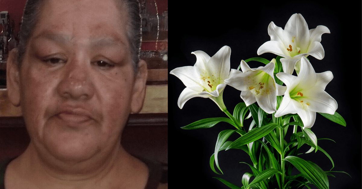 Enedelia Hernandez, 61, of Racine - Obituary