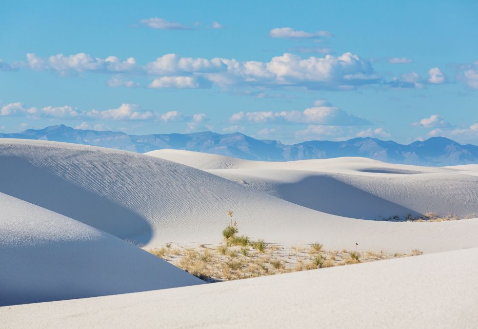 Did You Know How The First People Reached America – And It Wasn’t On Foot