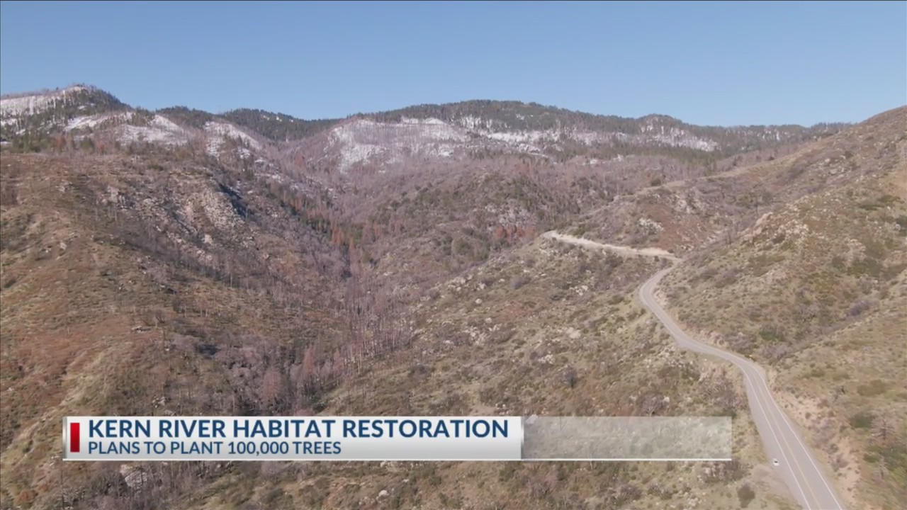 Kern River habitat restoration
