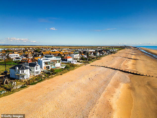 Urgent warning to dog owners as 'toxic' pellets wash up on UK beaches ...