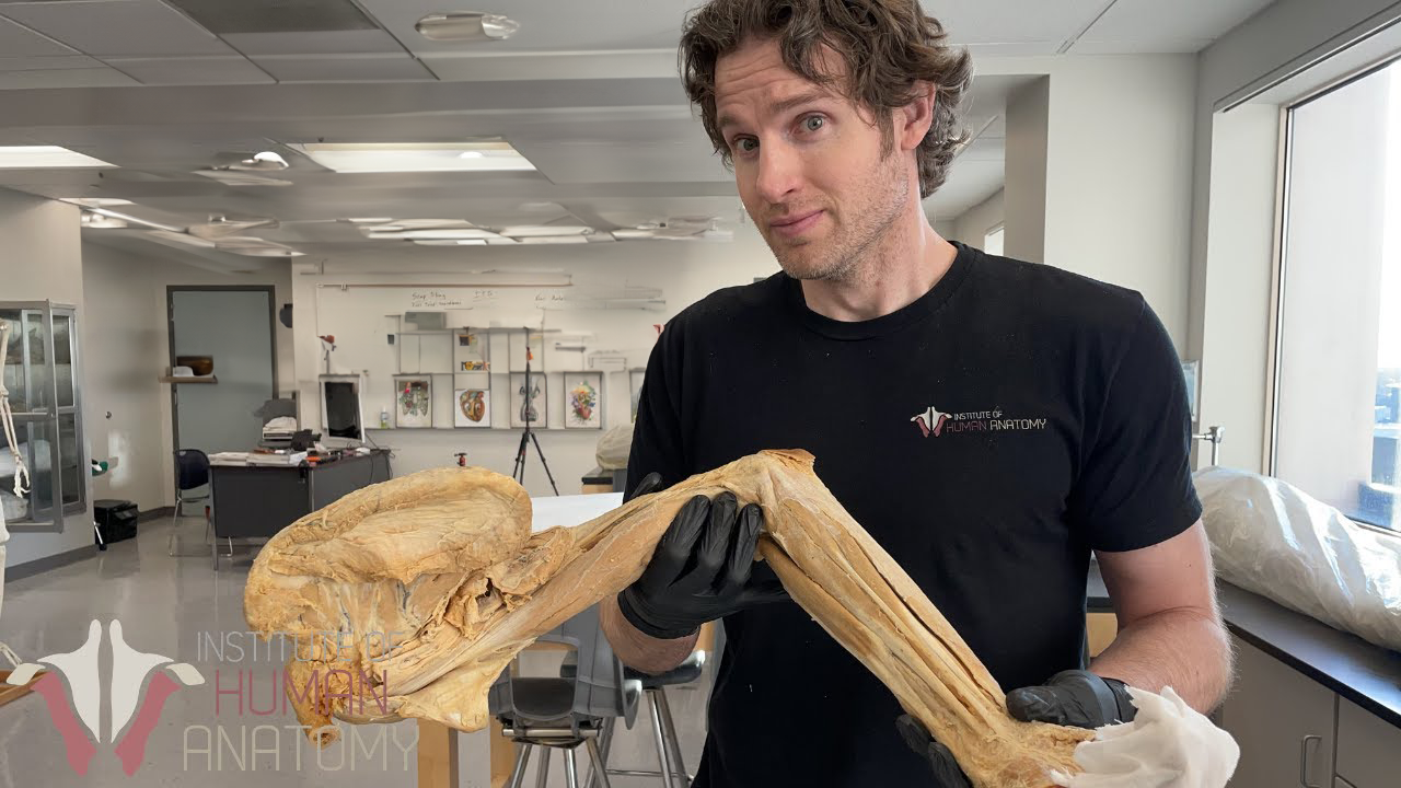 The hidden muscle sabotaging your workouts