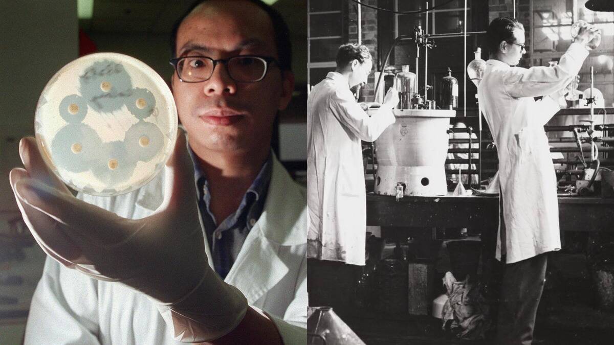 Learn about the scientists who developed the first penicillin