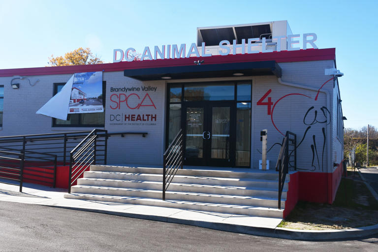 As new D.C. animal shelter opens, an urgent call to come adopt a pet