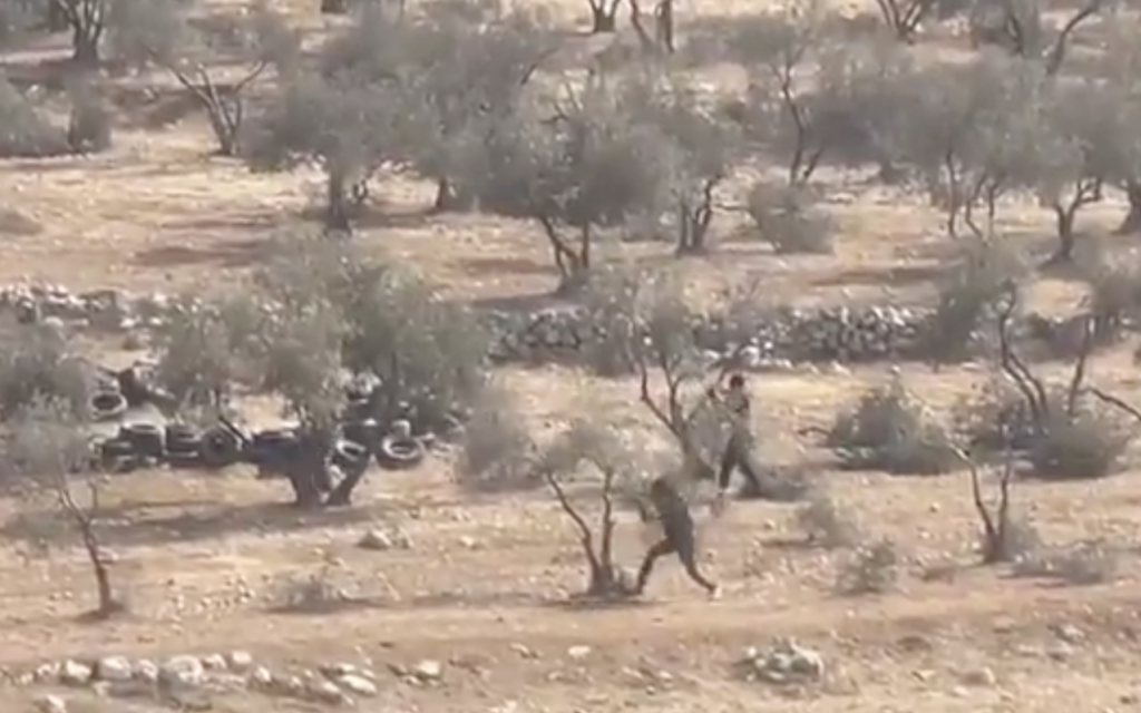 Settlers filmed felling Palestinian olive trees amid string of West ...