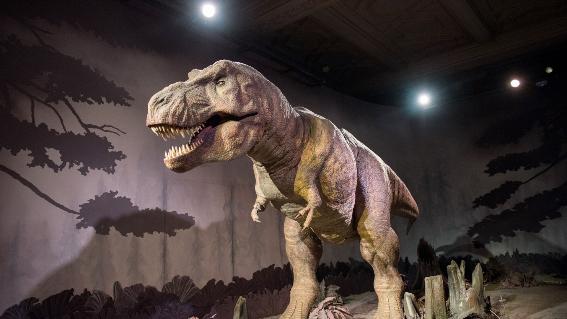 Mystery Of T. Rex’s Debated North American Origins Finally Solved