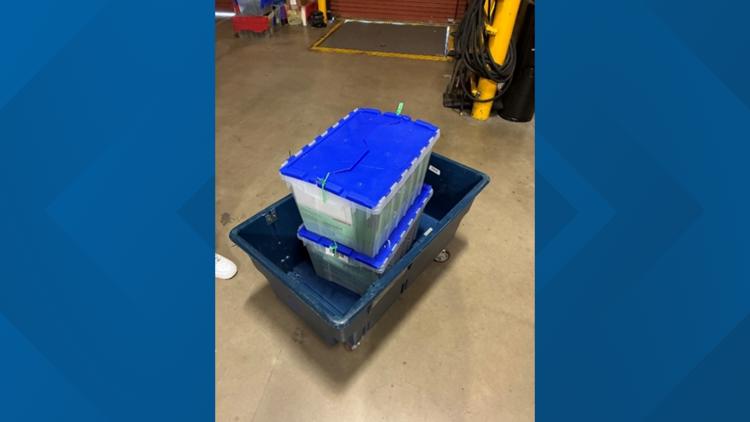 Two boxes of uncounted ballots found days after Maricopa County's election