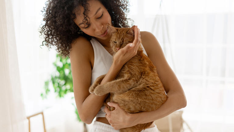 Signs Your Cat Prefers Your Cuddles To Being In His Own Space