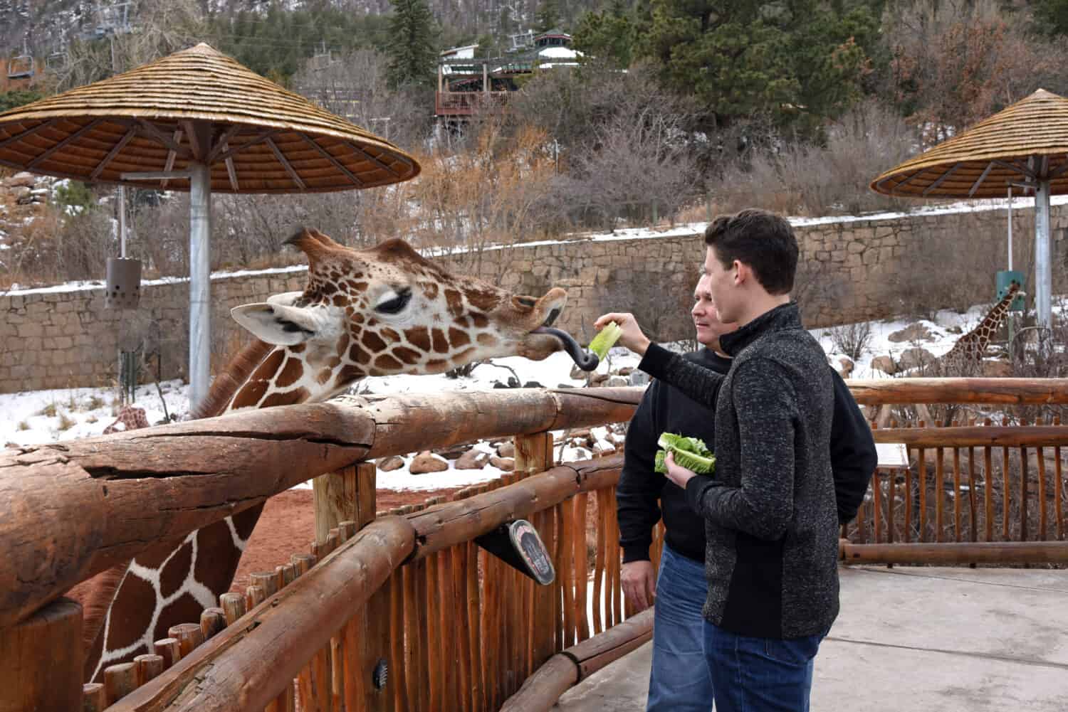 America’s Largest Zoo Has Been Going Strong for 129 Years