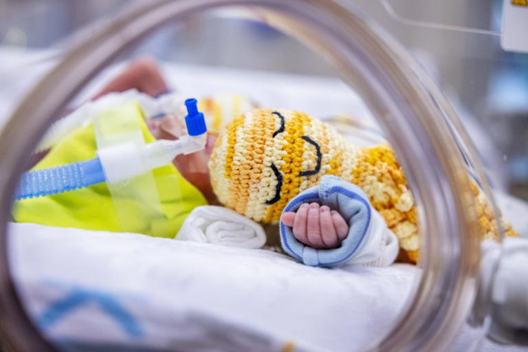 Hospital hand-crochets octopuses to comfort premature patients