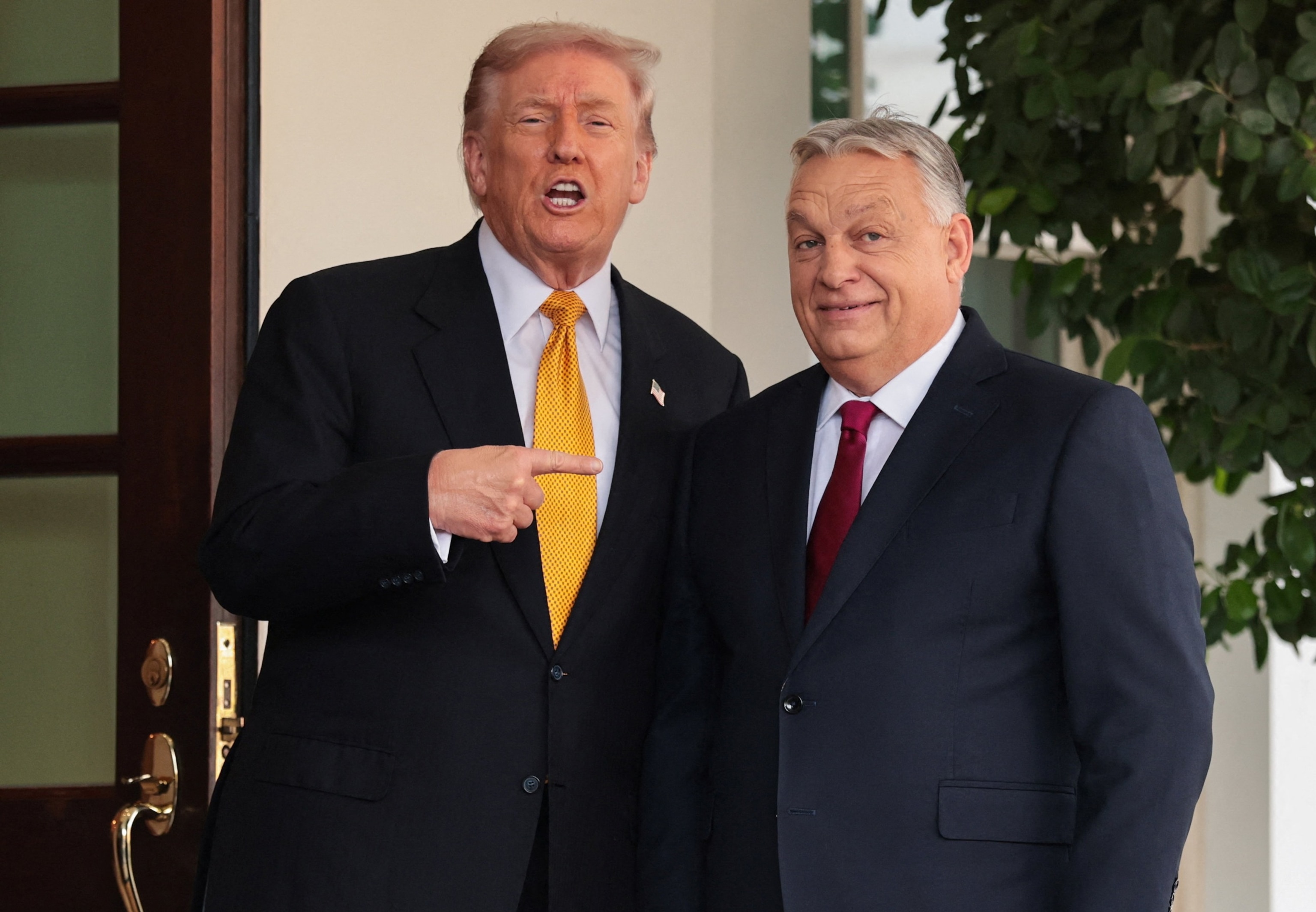 Trump heaps praise on Hungary's Viktor Orban in White House meeting