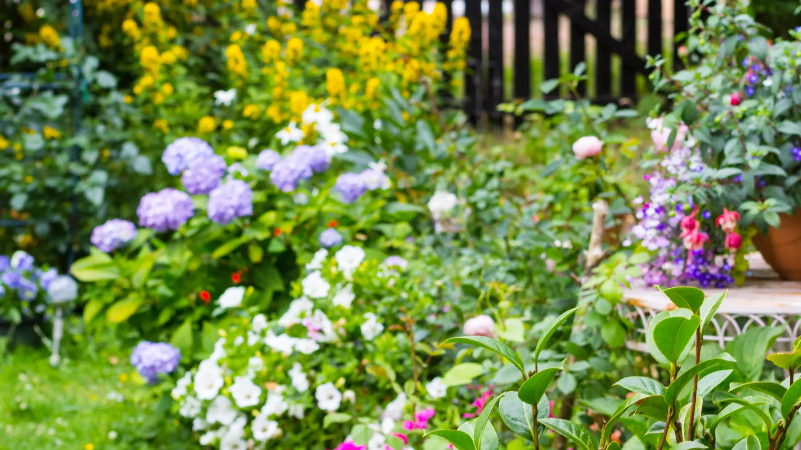 Super-bloom drives with bloom calendars and farm stands in the U.S.