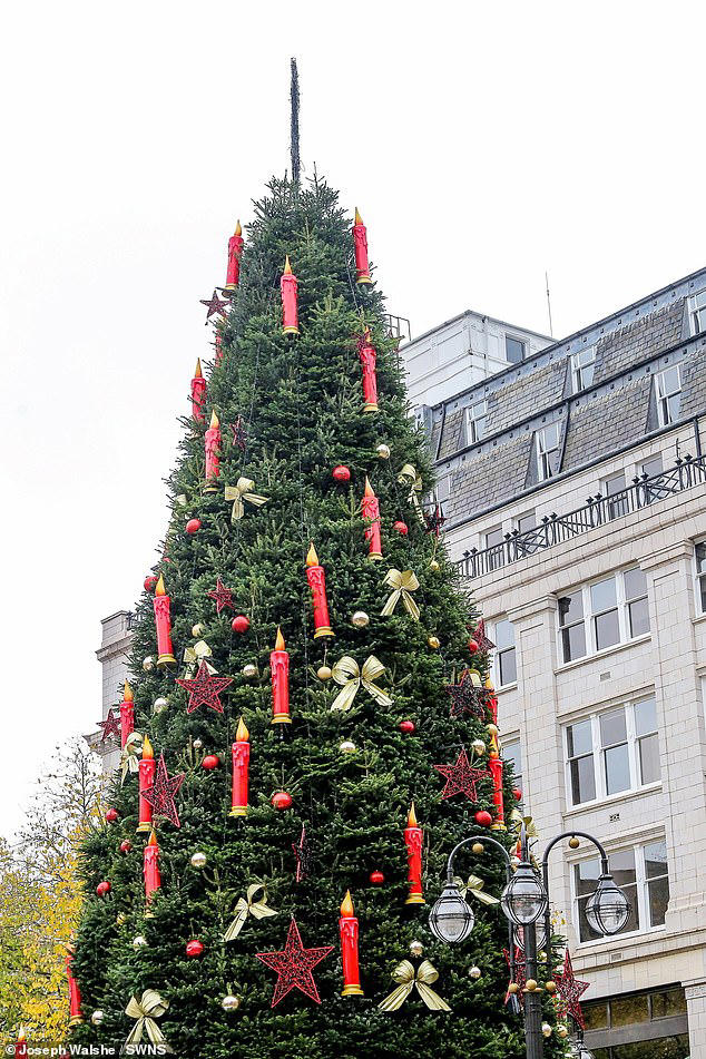 Bin strike council sparks outrage after putting up giant 65ft Christmas ...