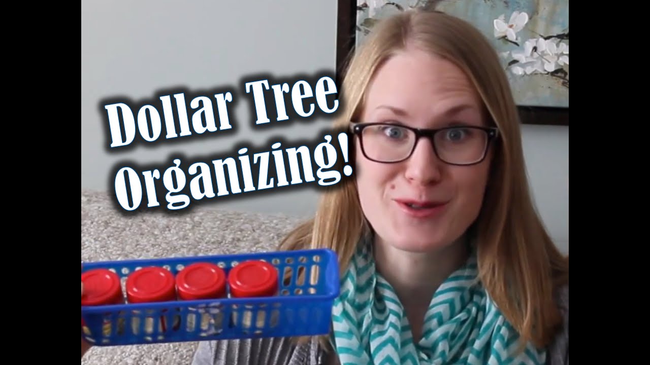 Random Dollar Tree organizers I heart!