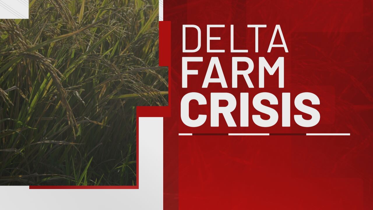 Delta Farm Crisis: Family farms disappearing