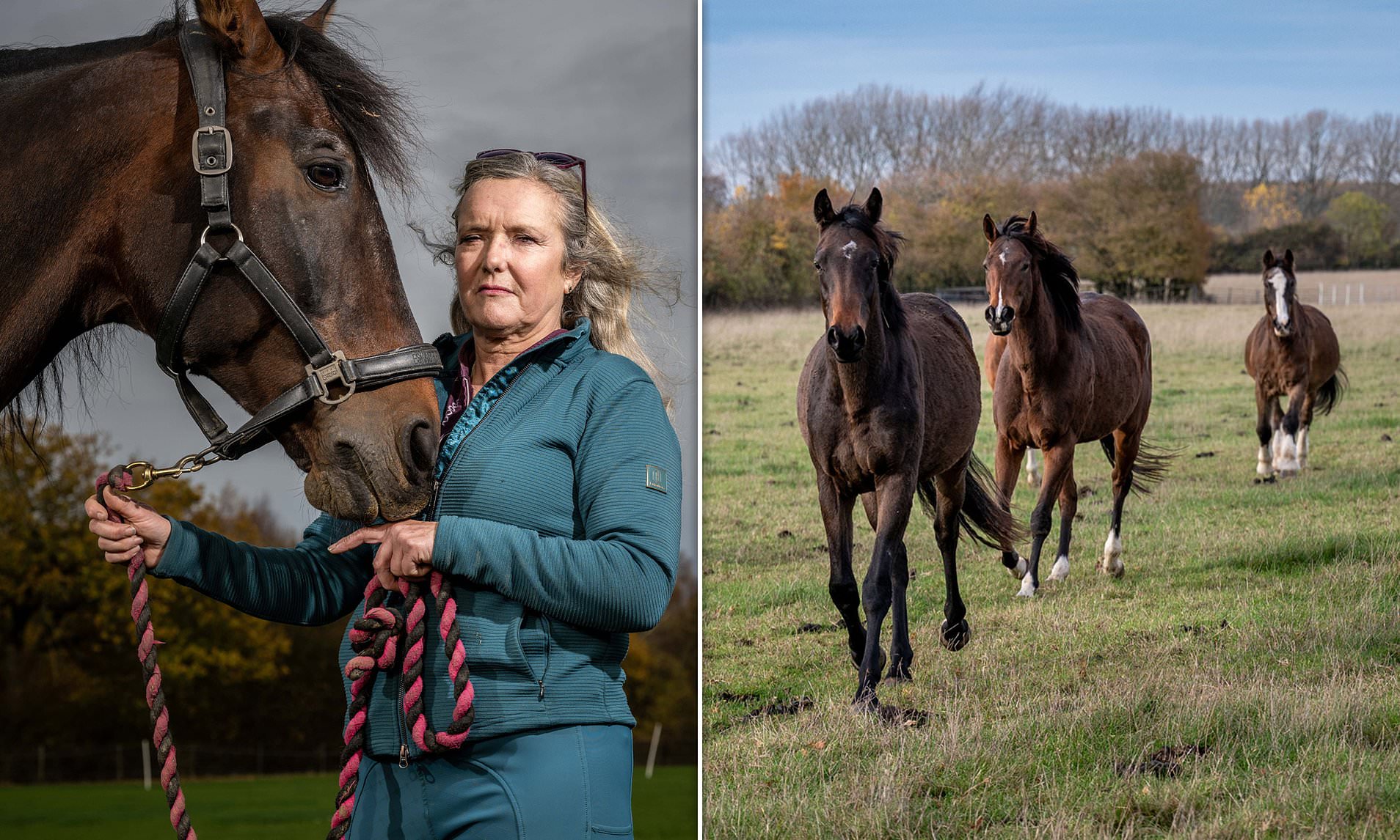 Not very neigh-bourly! Horse breeder is furious after villagers ...