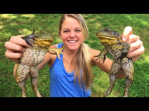Catching Giant Bullfrogs: Tips From an Expert Angler