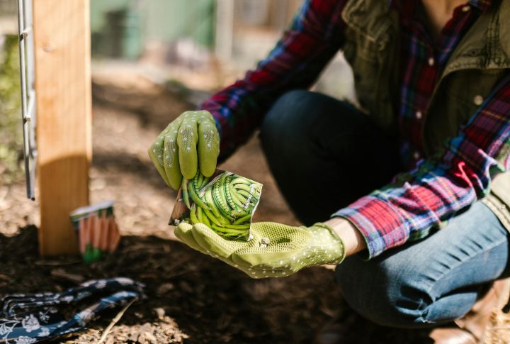 The Secrets To Successful Grass Seed Germination