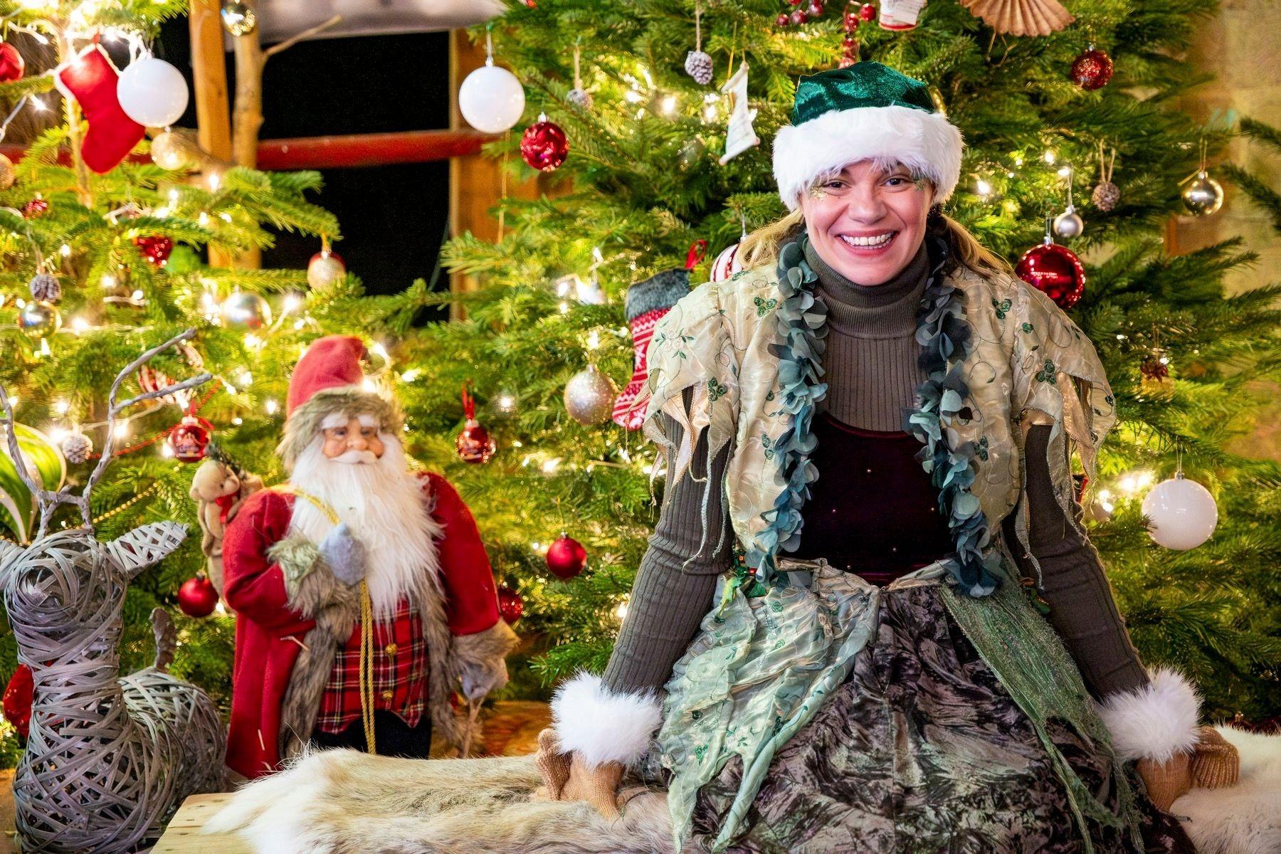 Chance to meet Santa during a magical Christmas experience at Humble ...