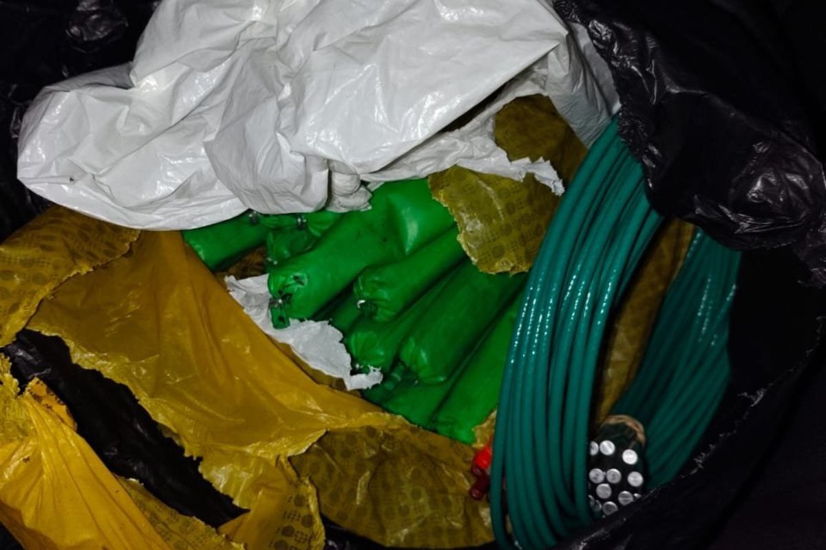 Zimbabwean opposition leader arrested in Pretoria over explosives