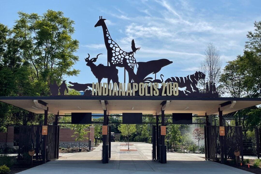 Dolphin calf dies just days after birth at Indianapolis Zoo