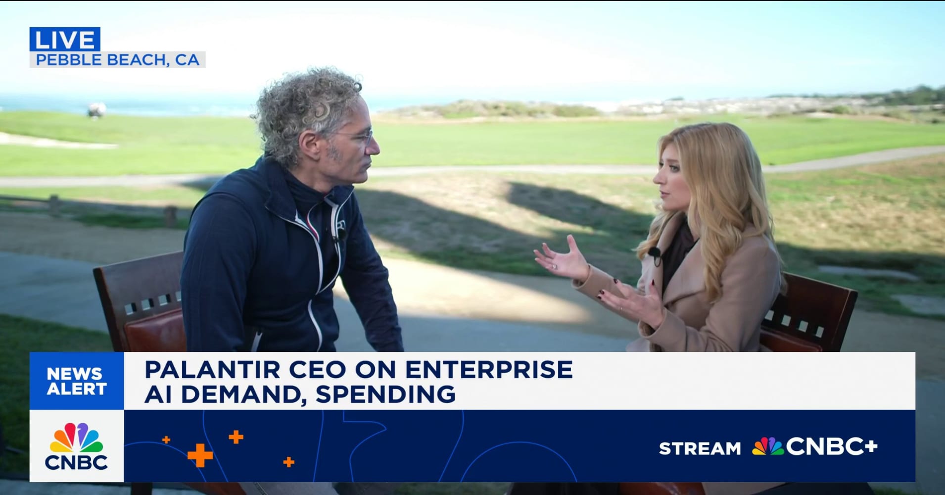 Palantir CEO Alex Karp: We've printed venture results for the average ...