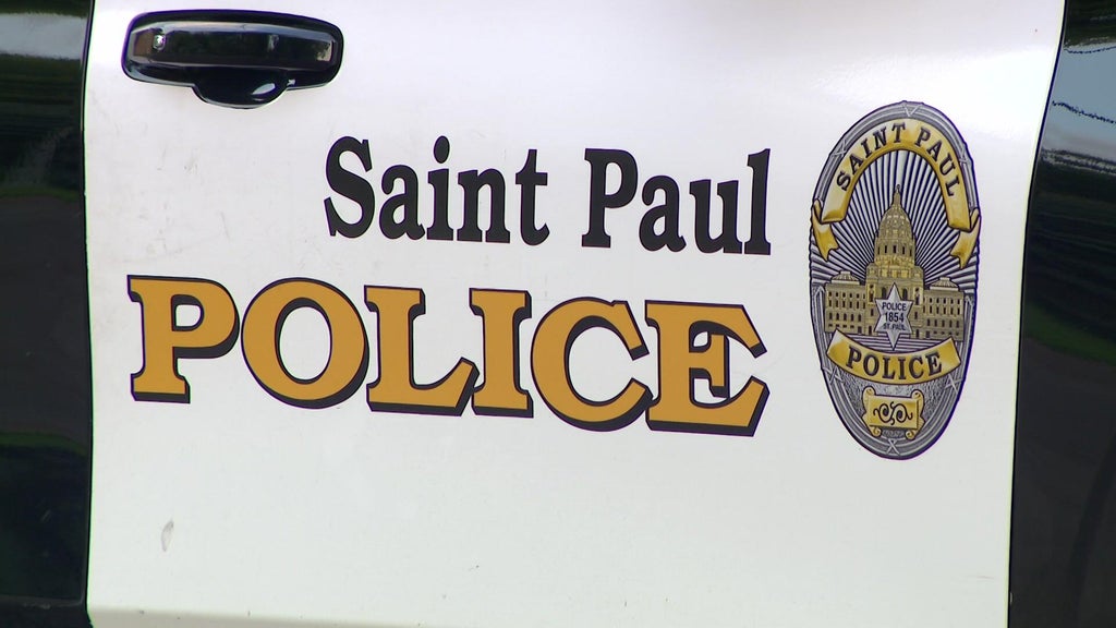 Toddler pulled loaded gun from diaper bag during St. Paul traffic stop ...
