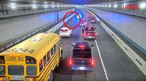 Boston, il pericoloso slalom del cane tra le automobili nel tunnel ...