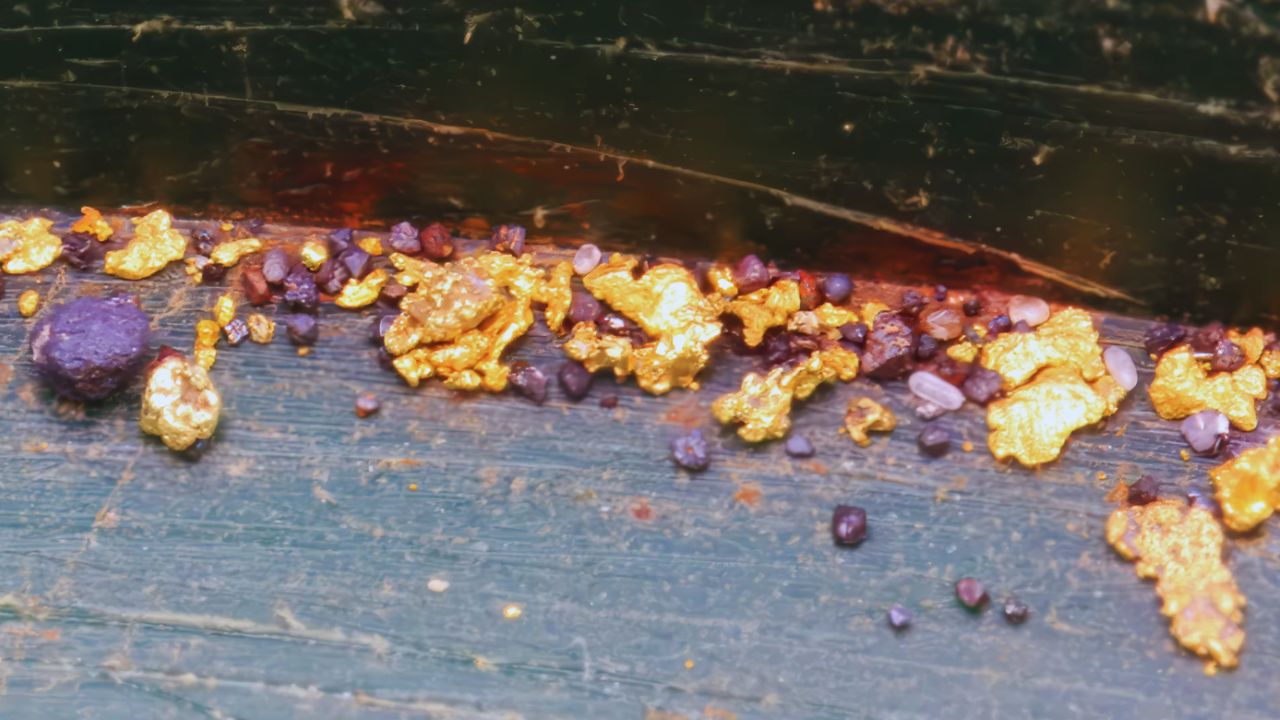 Gold Prospector Extracts Gold With The Roasting Sand Trick