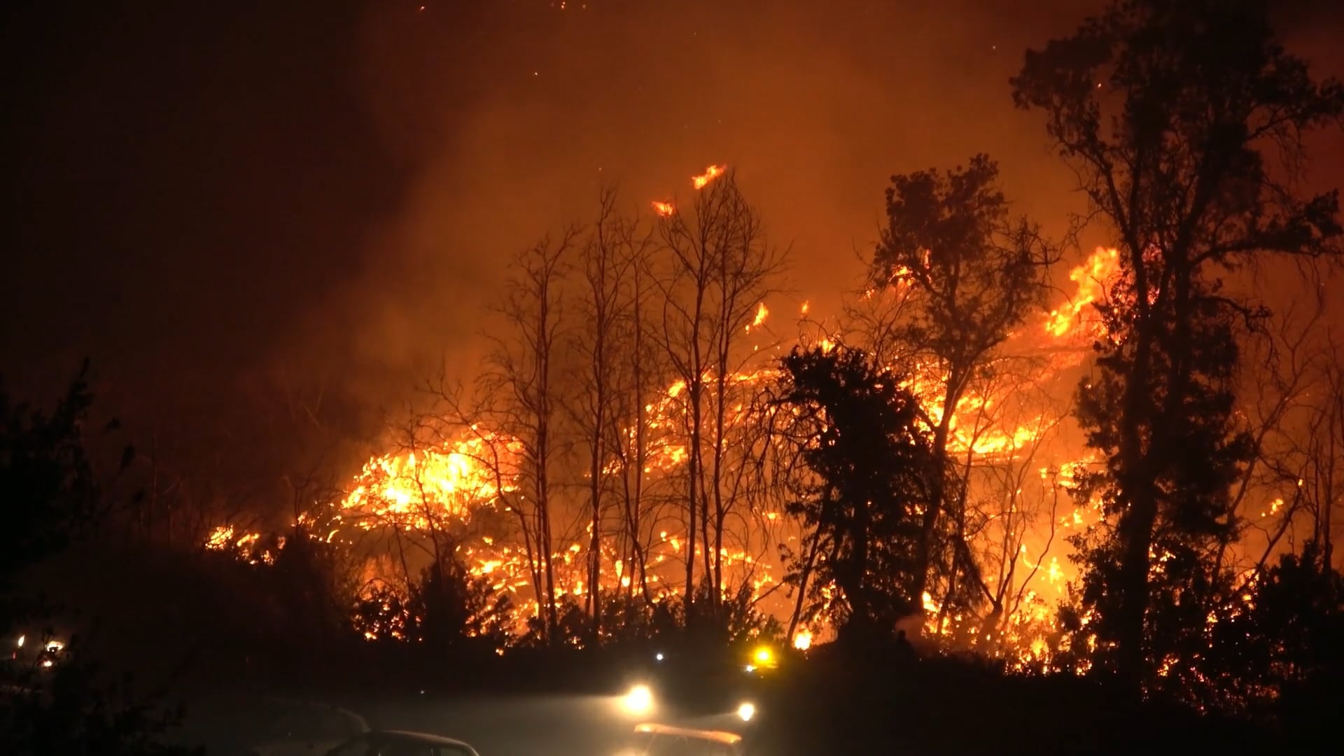 Greek Wildfires: Devastation Fueled by a Record Heatwave