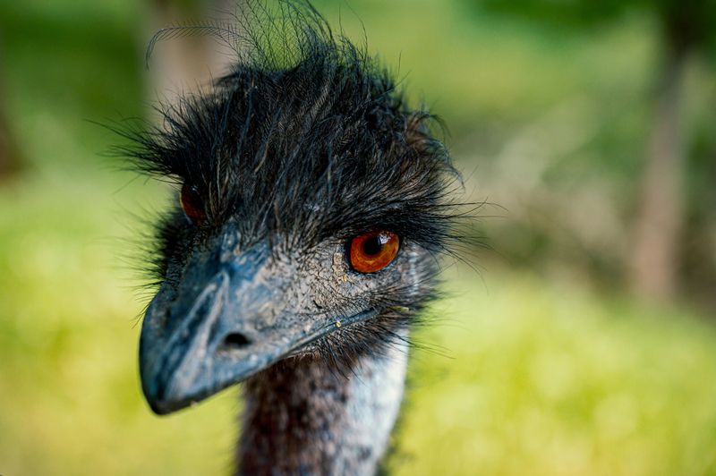 10 Exotic Animals That Require Government Permission
