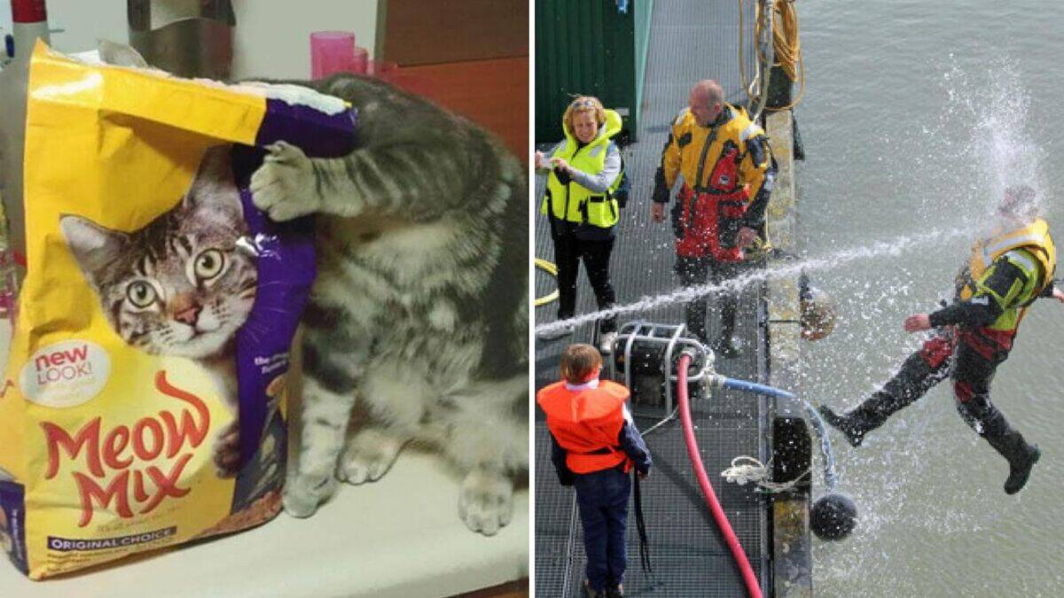 Comical photos that could not have been timed more perfectly