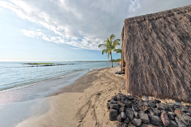 Best Big Island Beaches for Families (Expert's Guide)