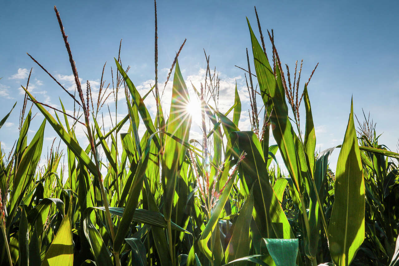 Farmers' Almanac to cease publication in 2026 after more than 200 years