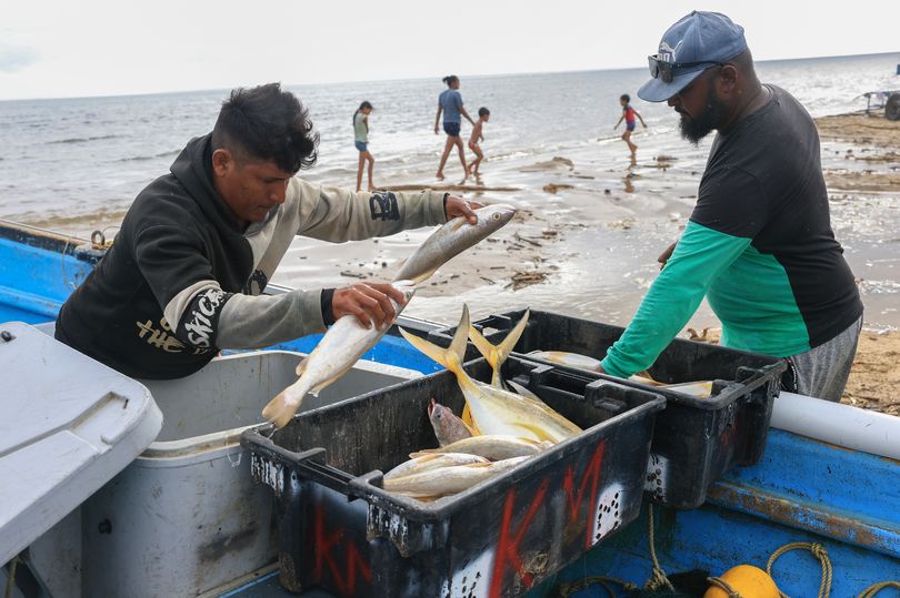 Bus driver 'down-on-his-luck' among dead in US strikes on 'narco boats ...