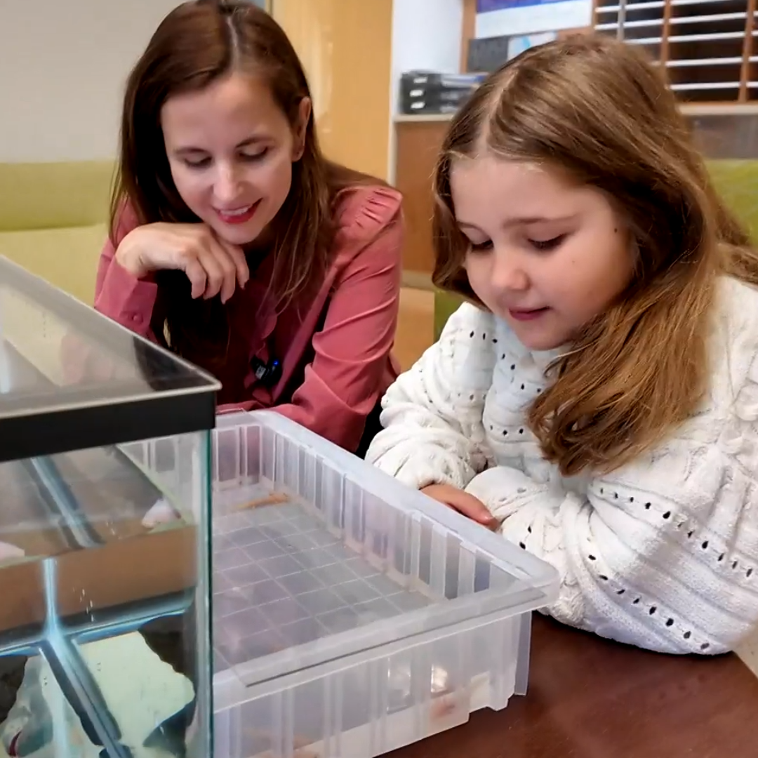 6-year-old girl comes to the rescue of Harvard researchers studying the ...