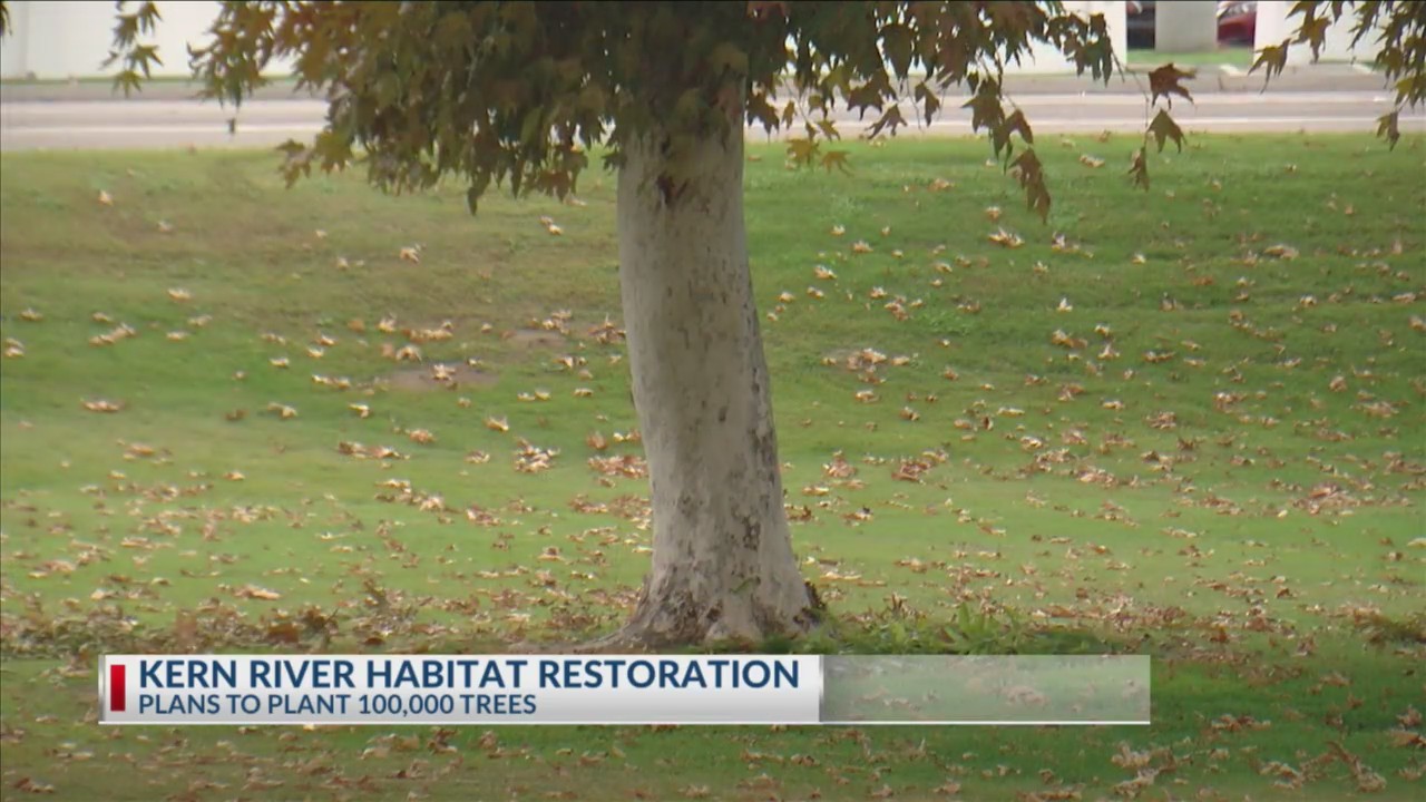 Kern River Habitat Restoration: Plans to plant 100,000 trees