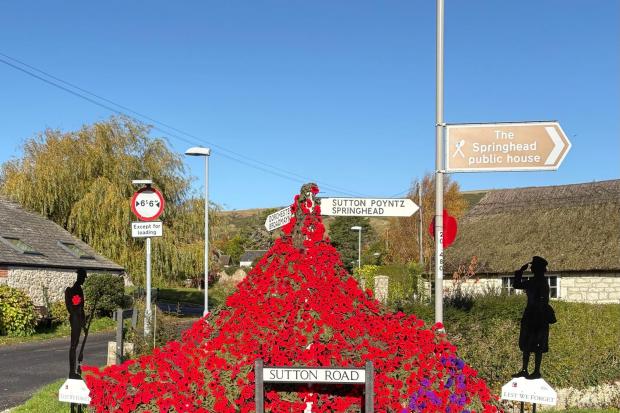 Community creates spectacular poppy display