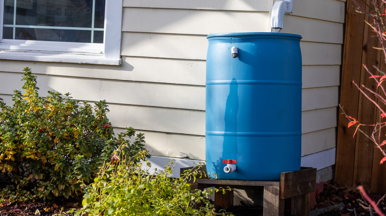 Ditch Industrial-Looking Rain Barrels For An Elegant Alternative With ...
