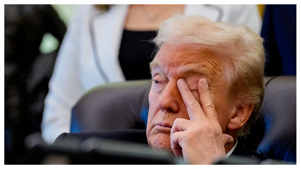 ‘He’s Scared’: Trump Seethes After Crowd Erupts Over a Brutal Clapback ...