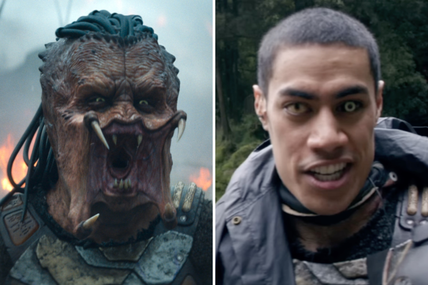 How ‘Predator: Badlands' Star Dimitrius Schuster-Koloamatangi Became ...
