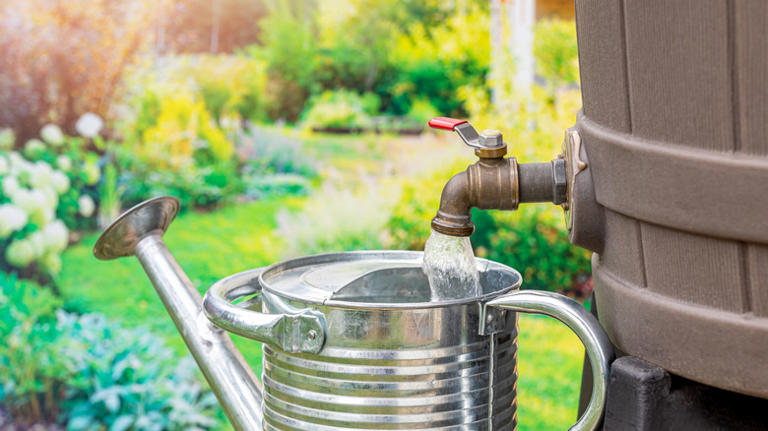 Ditch Industrial-Looking Rain Barrels For An Elegant Alternative With ...