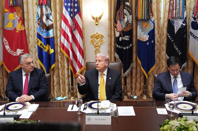 Karoline Leavitt forced to intervene as Trump flustered in White House ...