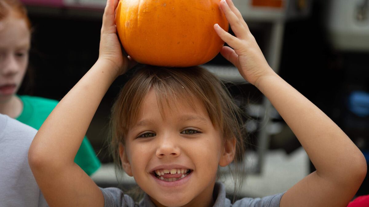Rotting pumpkins stink for the environment. Miami schools teach kids ...