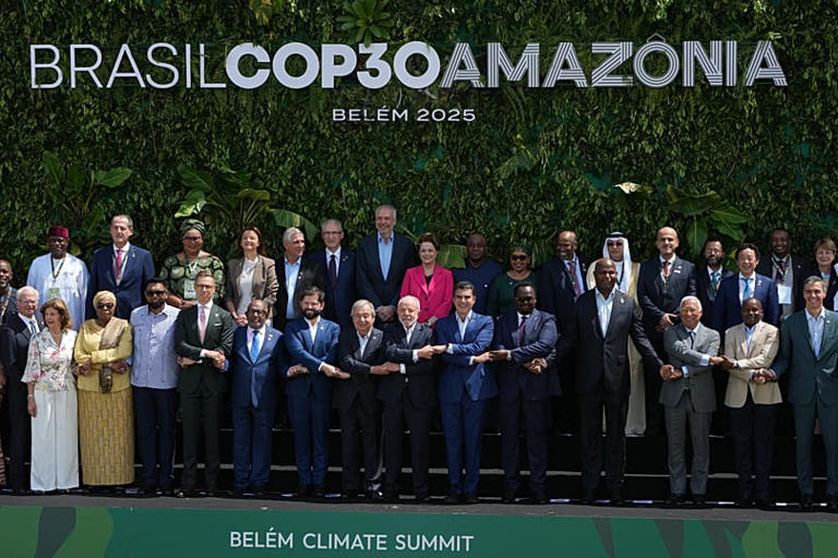 Germany promises support for Brazil's tropical forest protection scheme ...