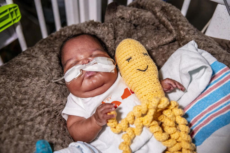Hospital hand-crochets octopuses to comfort premature patients