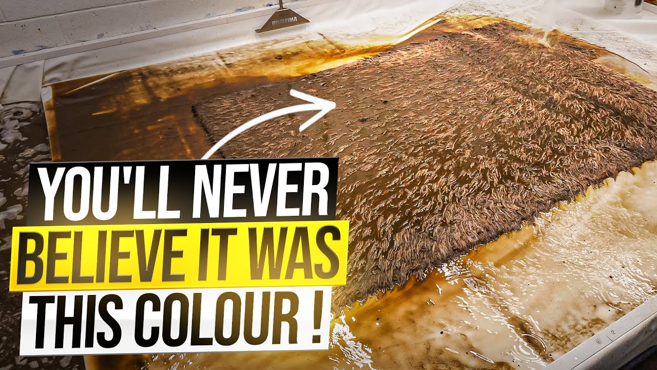 Cleaning the nastiest rug! Satisfying ASMR carpet cleaning time lapse