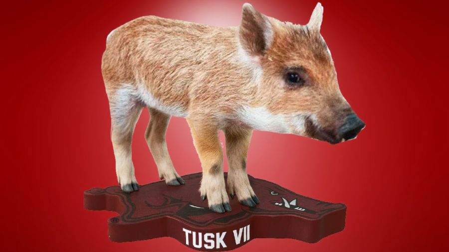 National Bobblehead Hall of Fame releases Tusk VII bobblehead