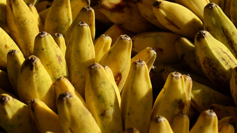 Doctors Weigh In On The Best Time To Eat Bananas For Weight Loss